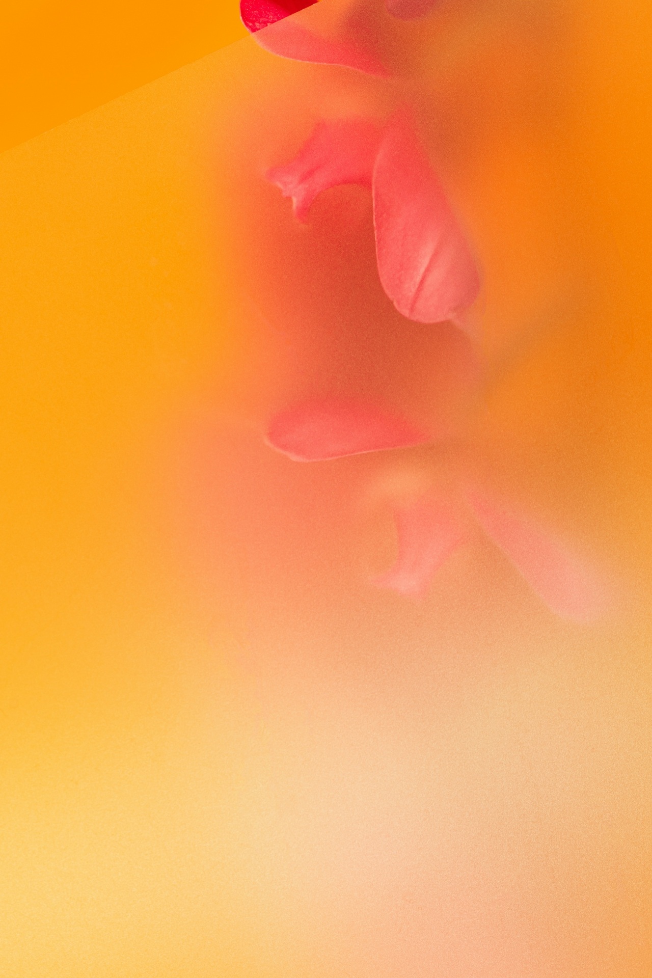 SS 26 Color Week + FW 26/27 Must-Have Colors